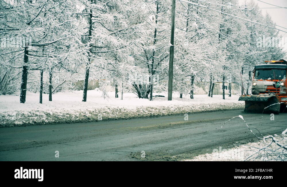 Gonin Stock Videos & Footage - HD and 4K Video Clips - Alamy