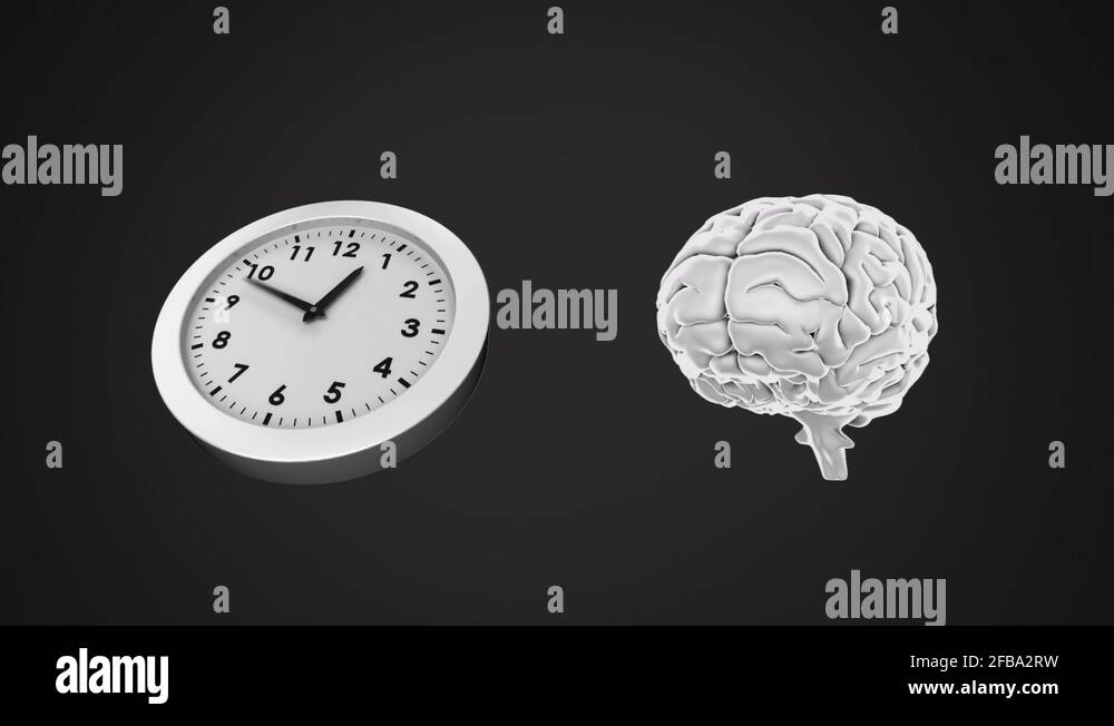 Organ clock Stock Videos & Footage - HD and 4K Video Clips - Alamy