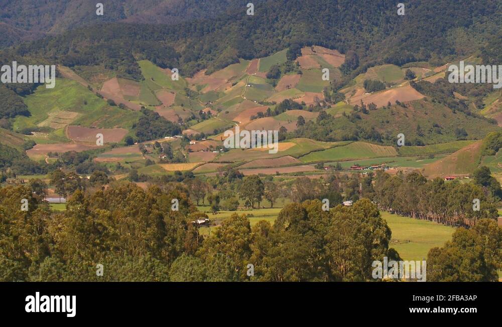 Panama farms Stock Videos & Footage - HD and 4K Video Clips - Alamy