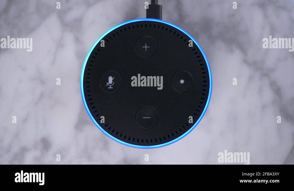 Alexa ai Stock Videos & Footage - HD and 4K Video Clips - Alamy