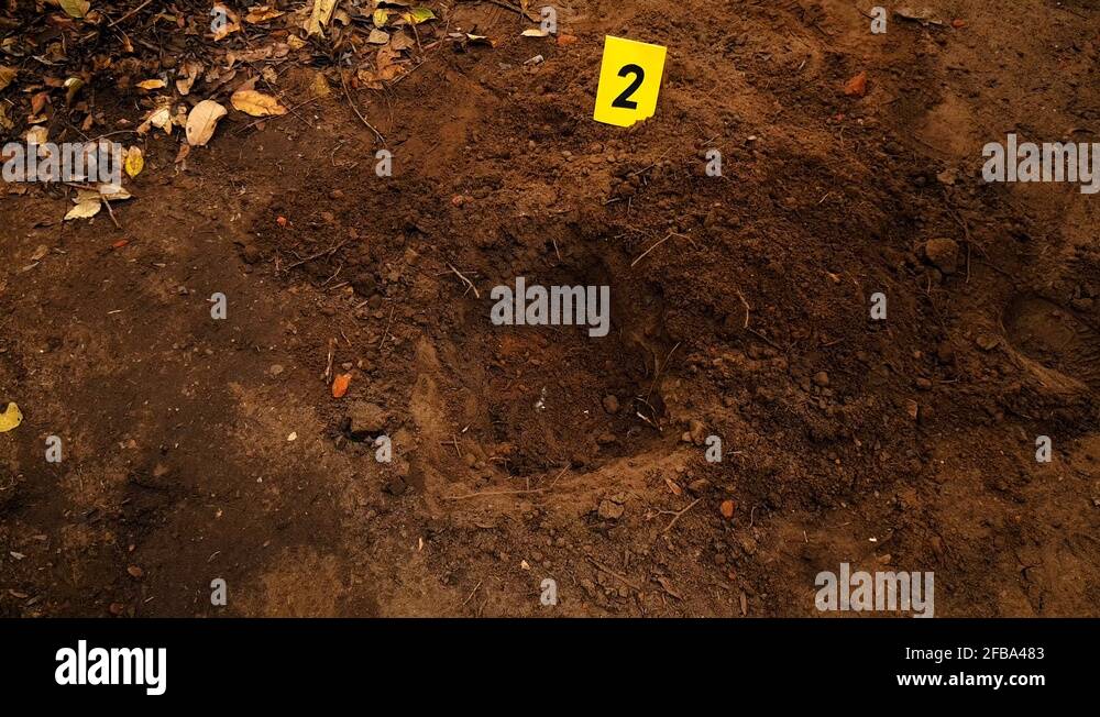 Crime scene investigator arriving at narcotics scene. Dug hole in ...