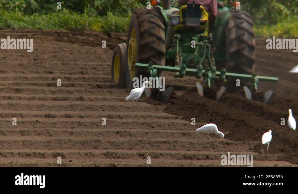 Tractor tilling soil Stock Videos & Footage - HD and 4K Video Clips - Alamy