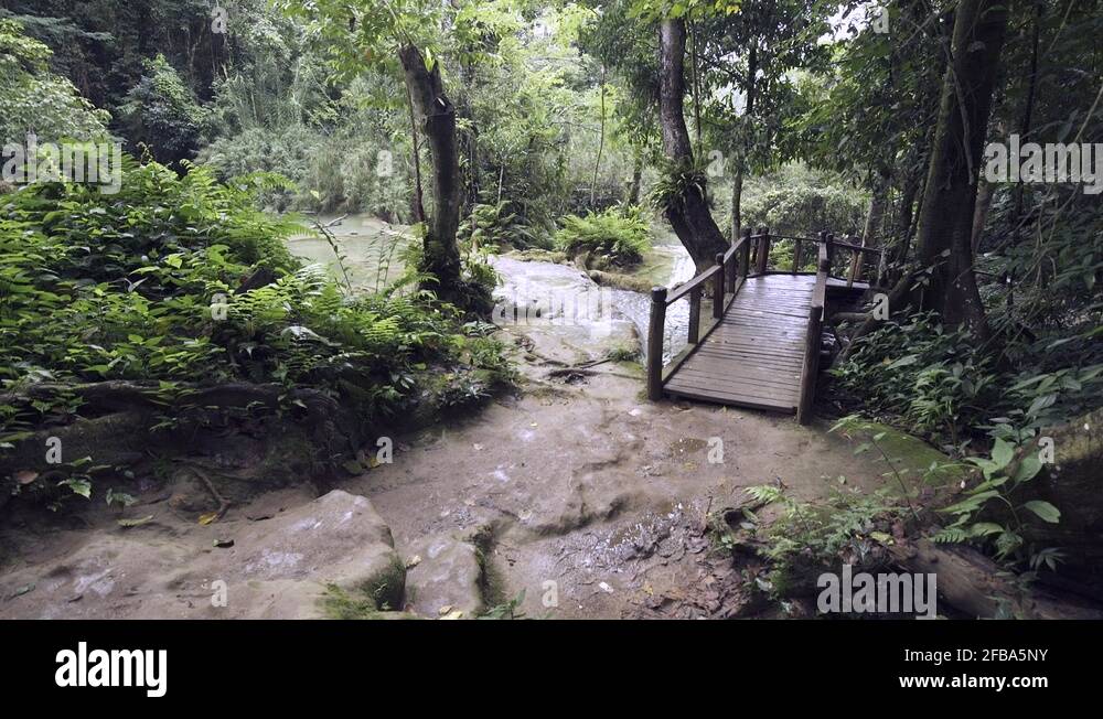 Wooden footbridge over water Stock Videos & Footage - HD and 4K Video ...