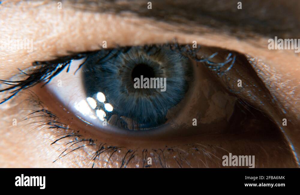 Cornea and conjunctiva Stock Videos & Footage - HD and 4K Video Clips ...