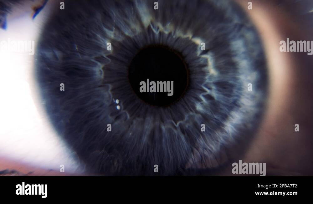 Blue eyeball Stock Videos & Footage - HD and 4K Video Clips - Alamy