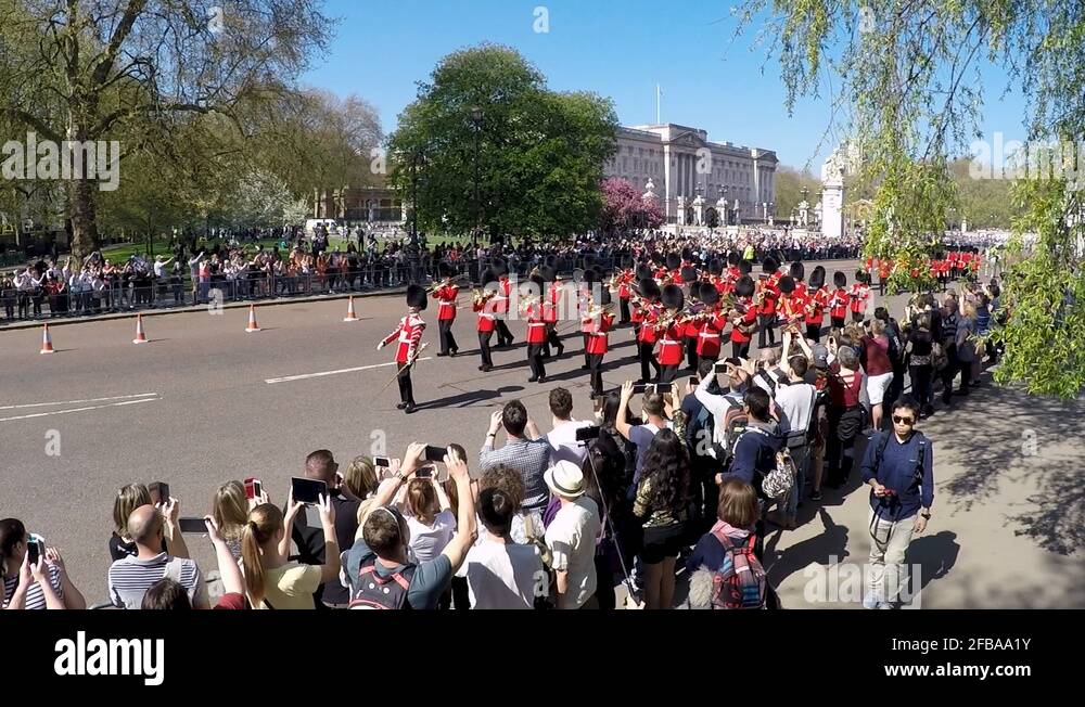 British coldstream guard Stock Videos & Footage - HD and 4K Video Clips ...