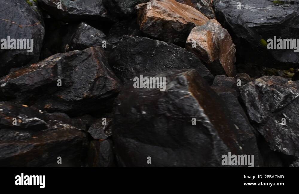 Wet sticks Stock Videos & Footage - HD and 4K Video Clips - Alamy