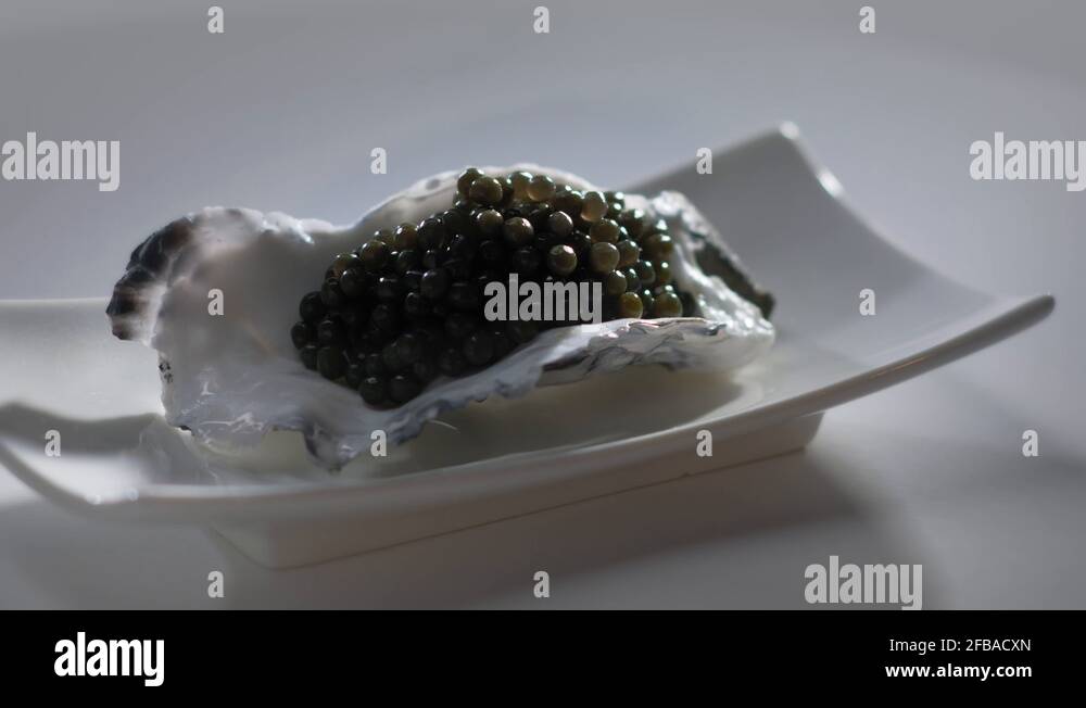 Black oyster shell Stock Videos & Footage - HD and 4K Video Clips - Alamy