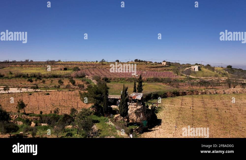 Pink farms Stock Videos & Footage - HD and 4K Video Clips - Alamy