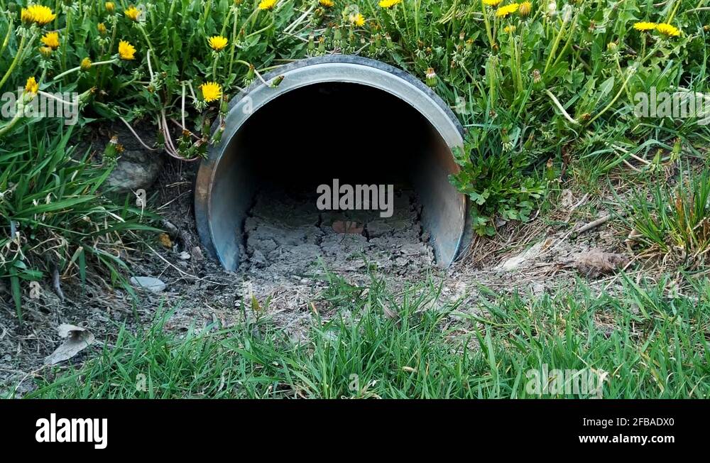 Grass covered drain Stock Videos & Footage - HD and 4K Video Clips - Alamy