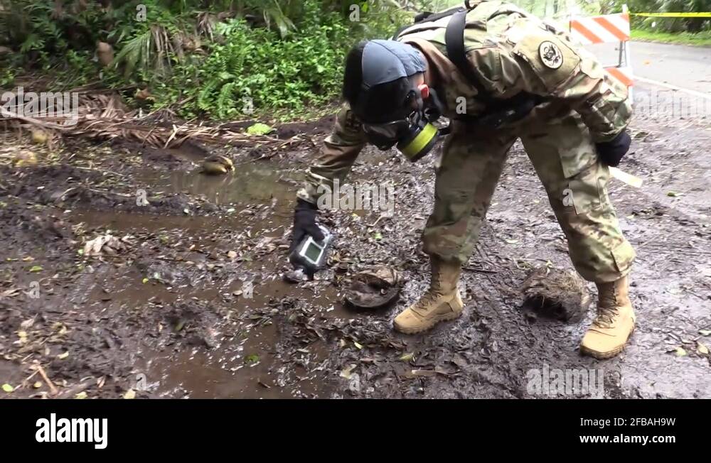 National testing Stock Videos & Footage - HD and 4K Video Clips - Alamy