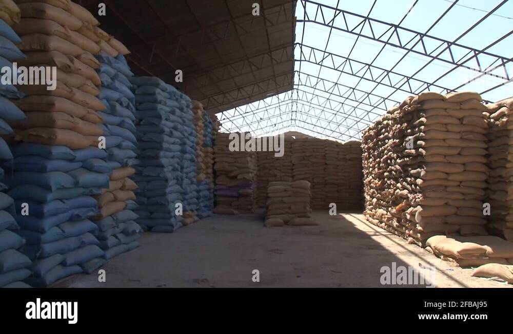 Seed distribution Stock Videos & Footage - HD and 4K Video Clips - Alamy