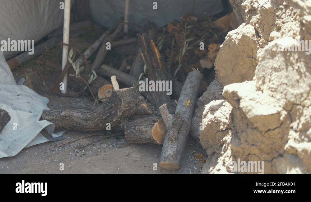 Stack cut tree branches Stock Videos & Footage - HD and 4K Video Clips ...