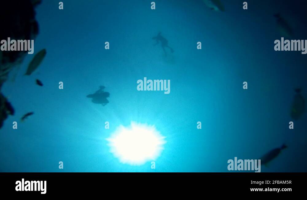 Deep dive Stock Videos & Footage - HD and 4K Video Clips - Alamy