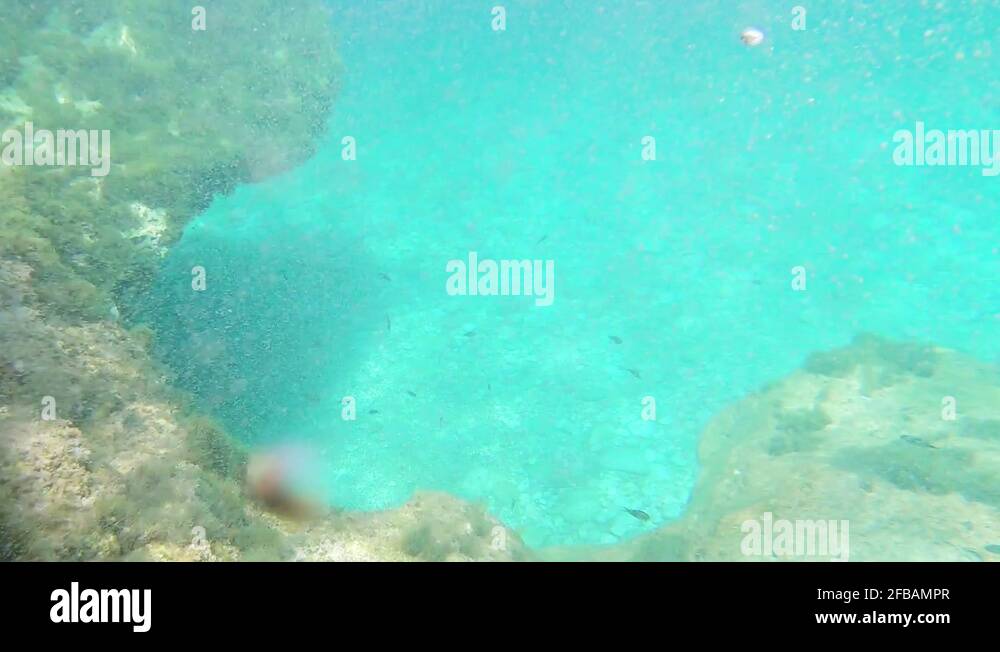 Wave bubbles Stock Videos & Footage - HD and 4K Video Clips - Alamy