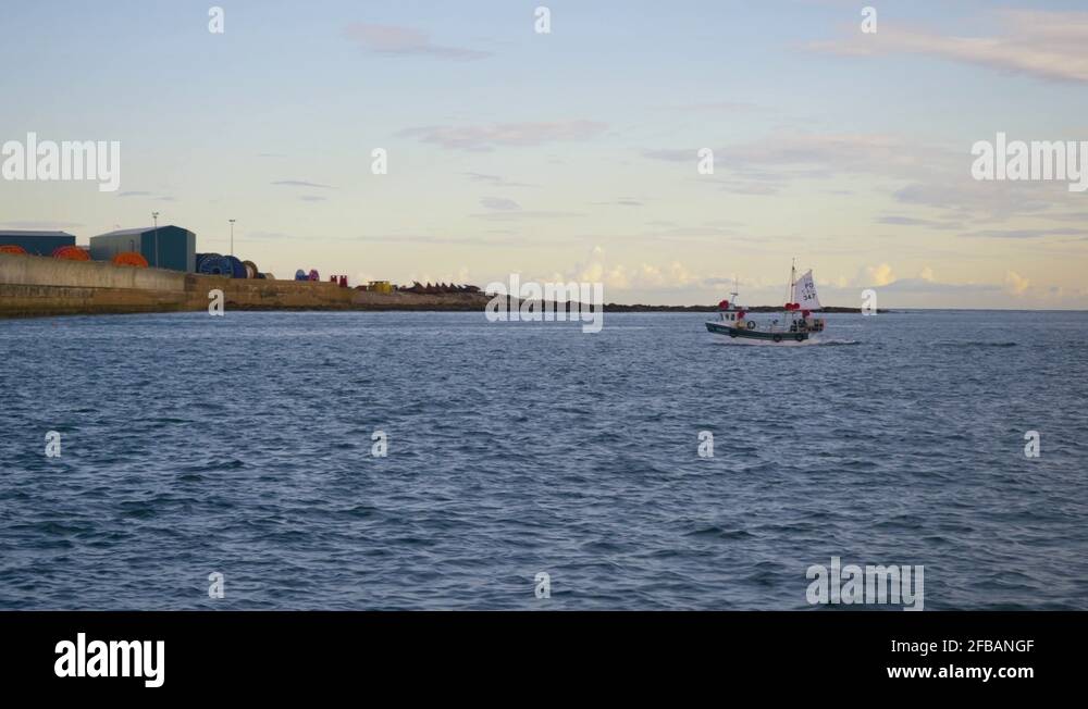 Peterhead fish Stock Videos & Footage - HD and 4K Video Clips - Alamy