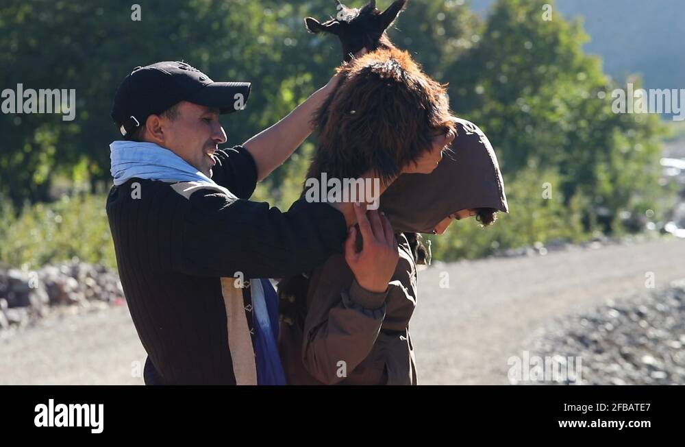 Atlas goat Stock Videos & Footage - HD and 4K Video Clips - Alamy