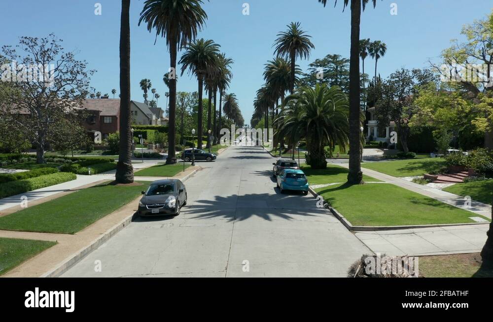rising over iconic Palm tree lined street of LA Stock Video Footage - Alamy
