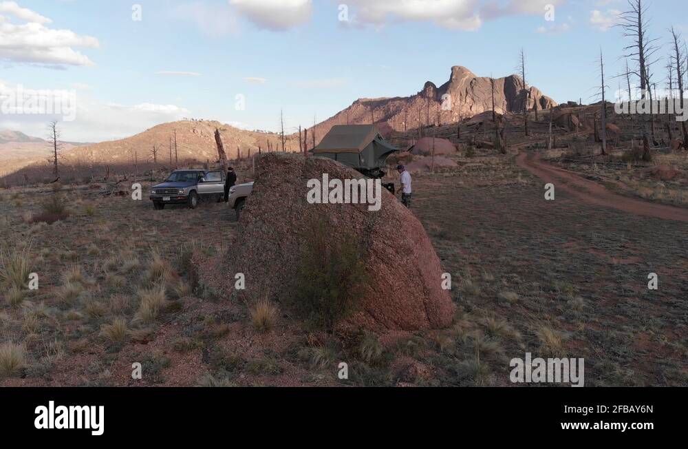 Epic sheep Stock Videos & Footage - HD and 4K Video Clips - Alamy