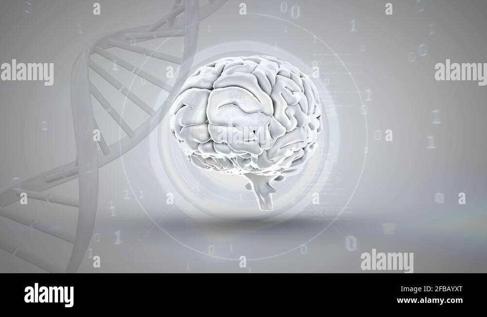 Human brain, DNA helix and numbers Stock Video Footage - Alamy