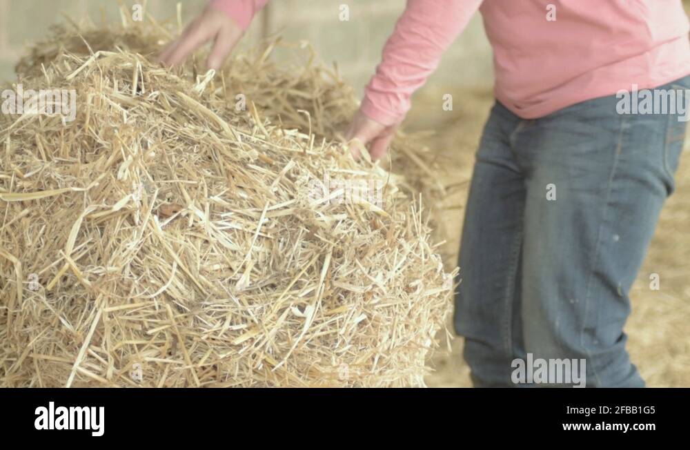 Hay bale barn Stock Videos & Footage - HD and 4K Video Clips - Alamy