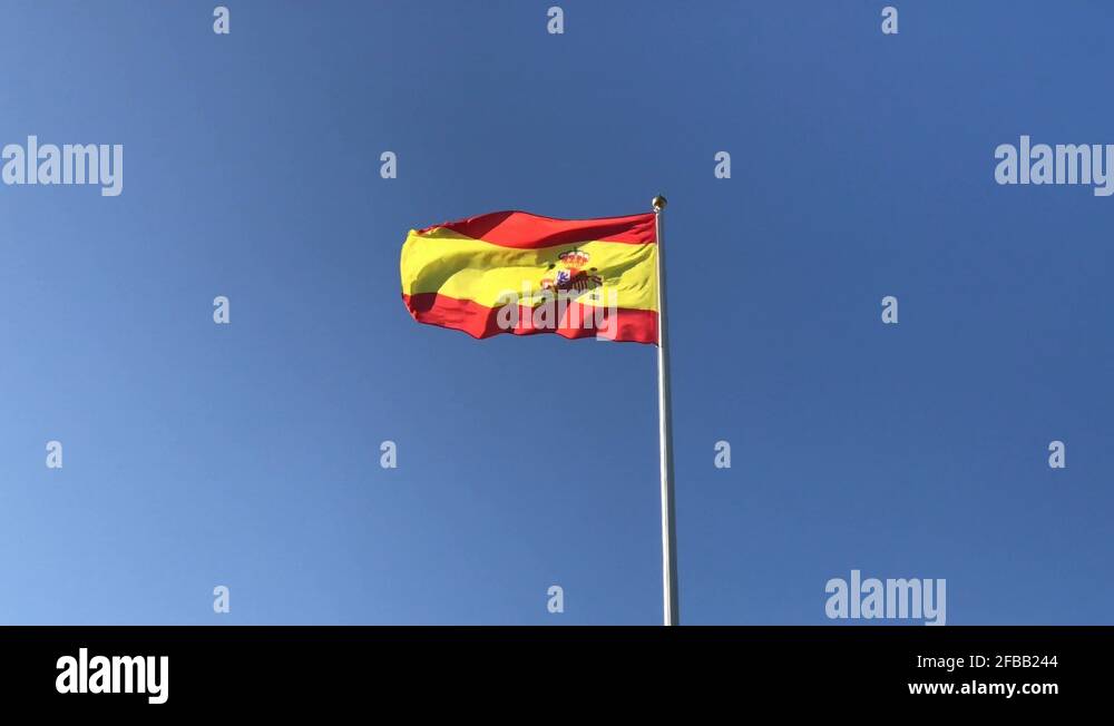 Wild blue flag Stock Videos & Footage - HD and 4K Video Clips - Alamy