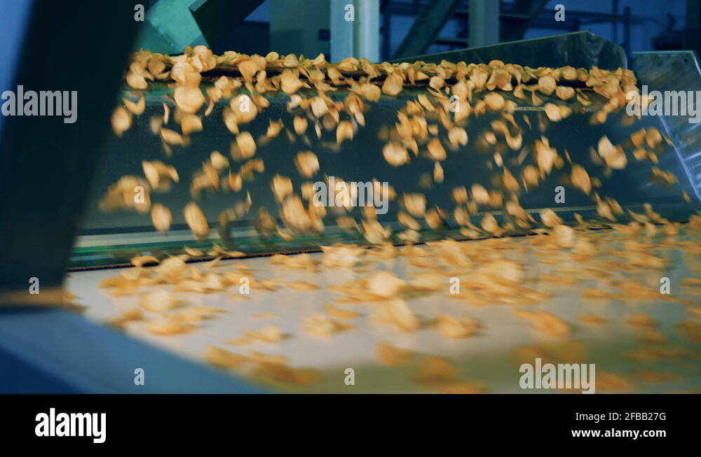 Potato crisps are falling from the industrial conveyor Stock Video ...