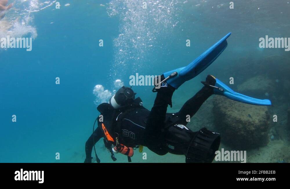 Scuba diver underwater research Stock Videos & Footage - HD and 4K ...
