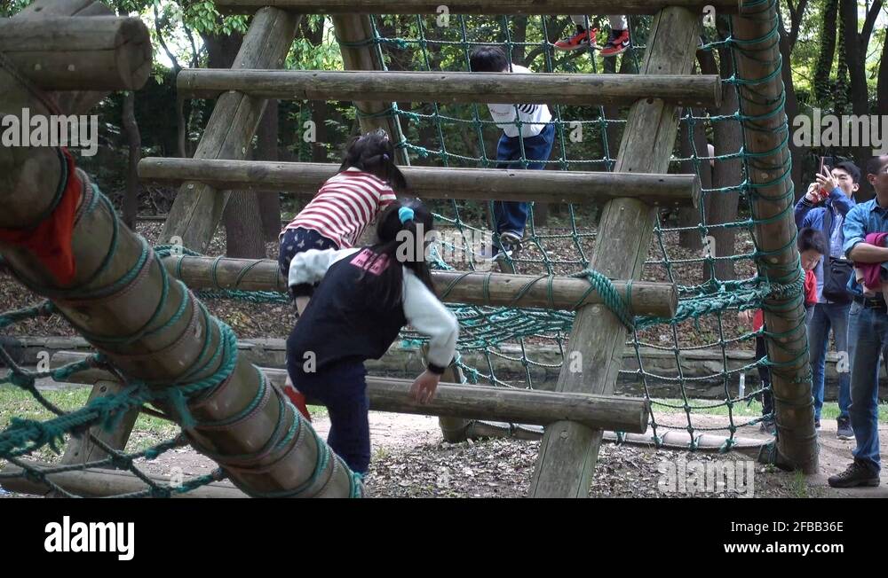 Log structure Stock Videos & Footage - HD and 4K Video Clips - Alamy