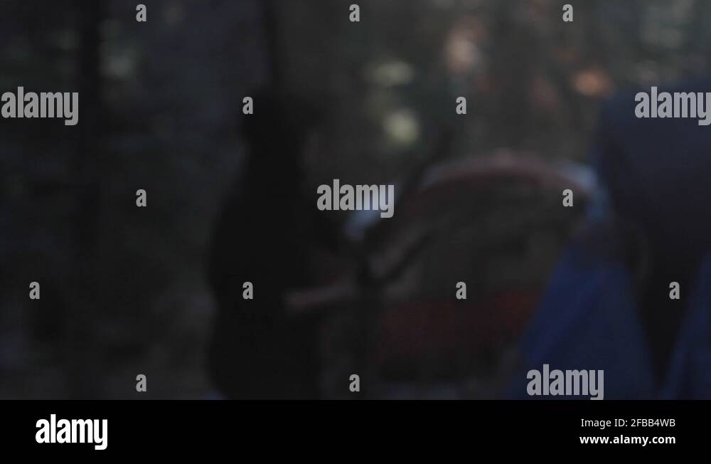 Collecting branches for fire in Wild Plum Campground, Tahoe National ...