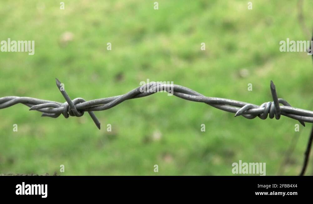 Barbed wire Stock Videos & Footage - HD and 4K Video Clips - Alamy