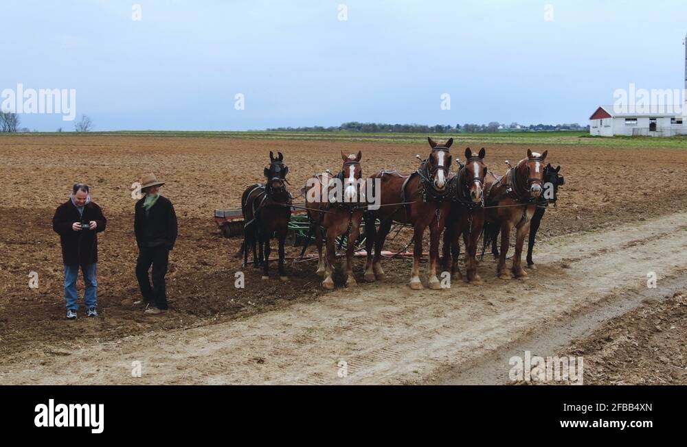 Amish people and technology Stock Videos & Footage - HD and 4K Video ...