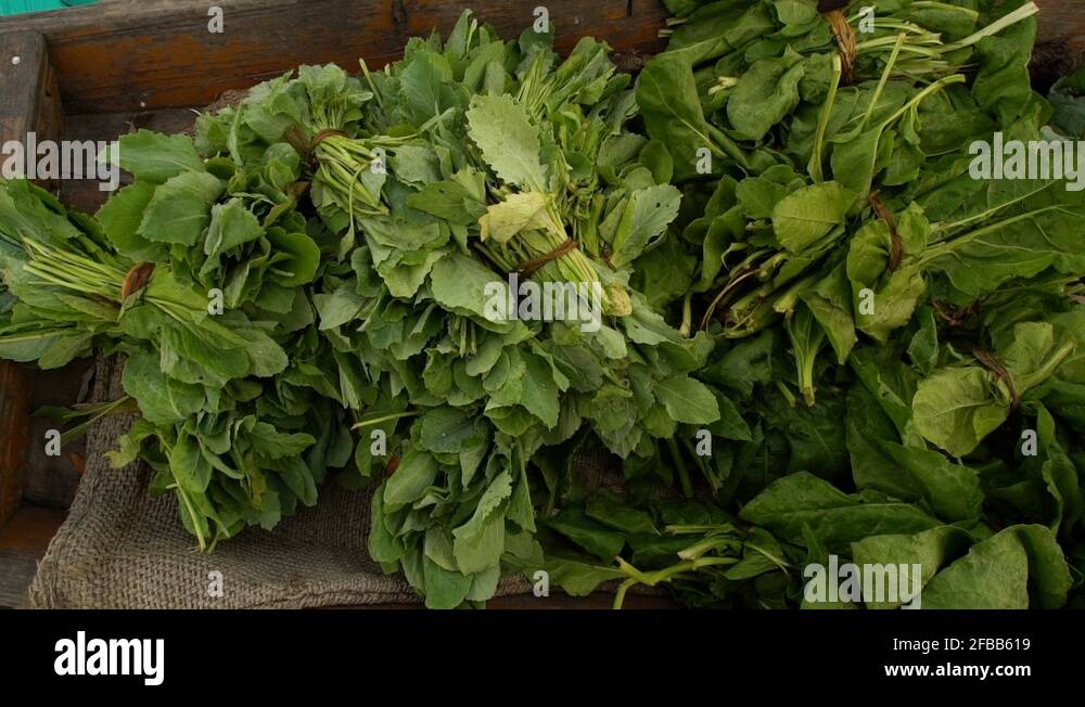 Green leaf vegetables Stock Videos & Footage - HD and 4K Video Clips ...
