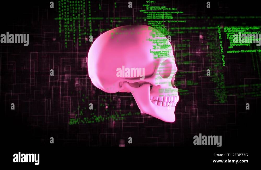 Python skull Stock Videos & Footage - HD and 4K Video Clips - Alamy