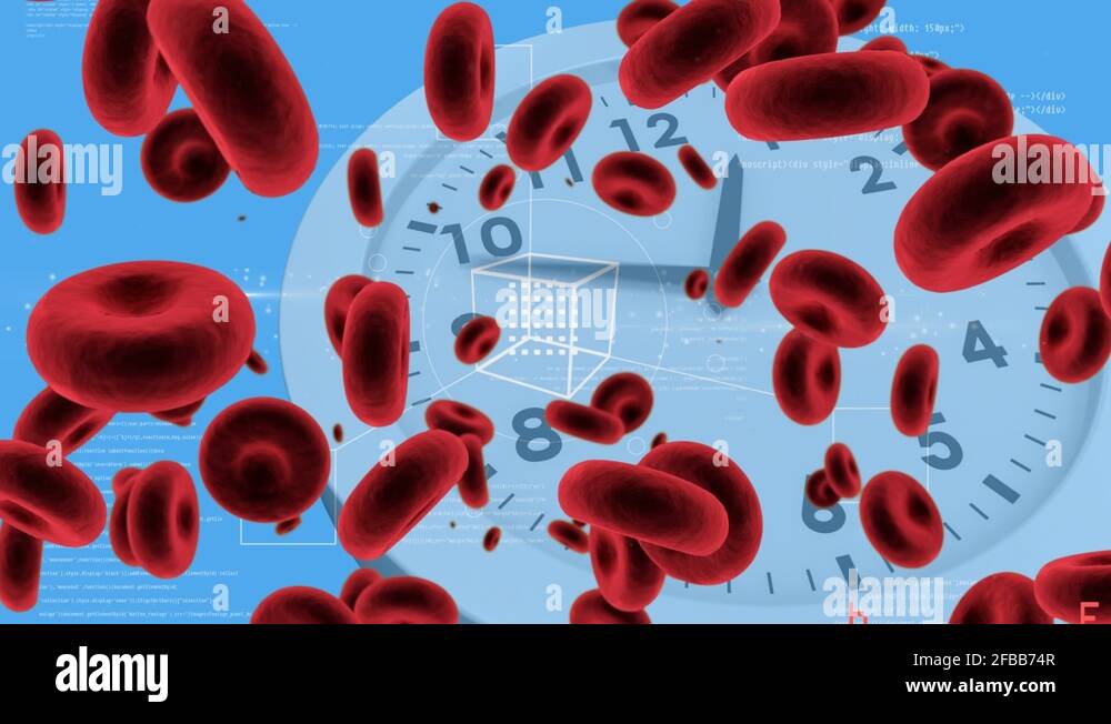 Red white blood cells platelets Stock Videos & Footage - HD and 4K ...