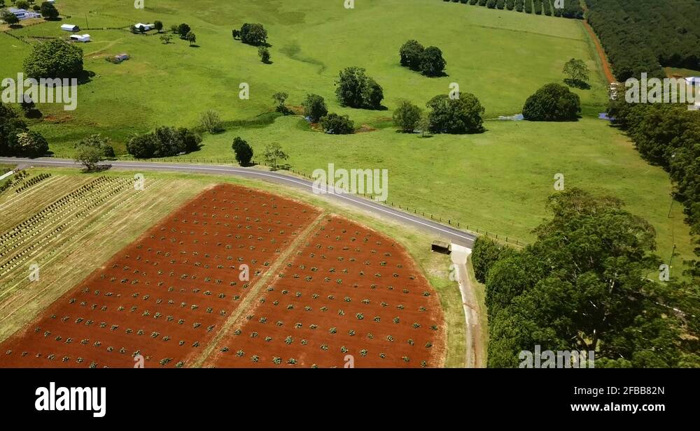 Red soil field Stock Videos & Footage - HD and 4K Video Clips - Alamy