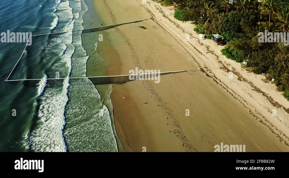 Jungle protection Stock Videos & Footage - HD and 4K Video Clips - Alamy