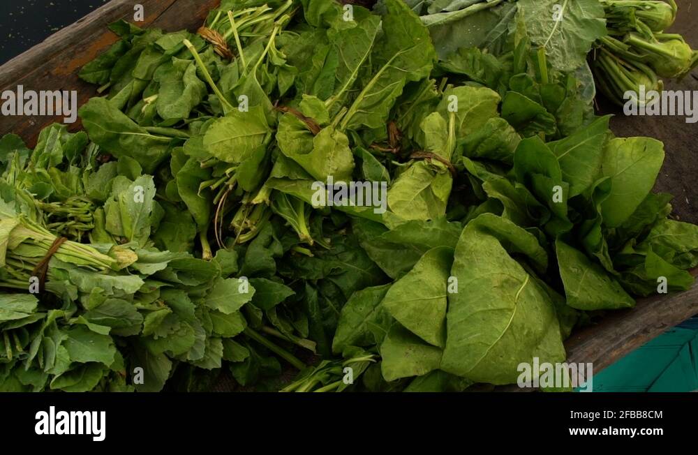 Vegetables on a floating canoe, Dal Lake, India Stock Video Footage - Alamy