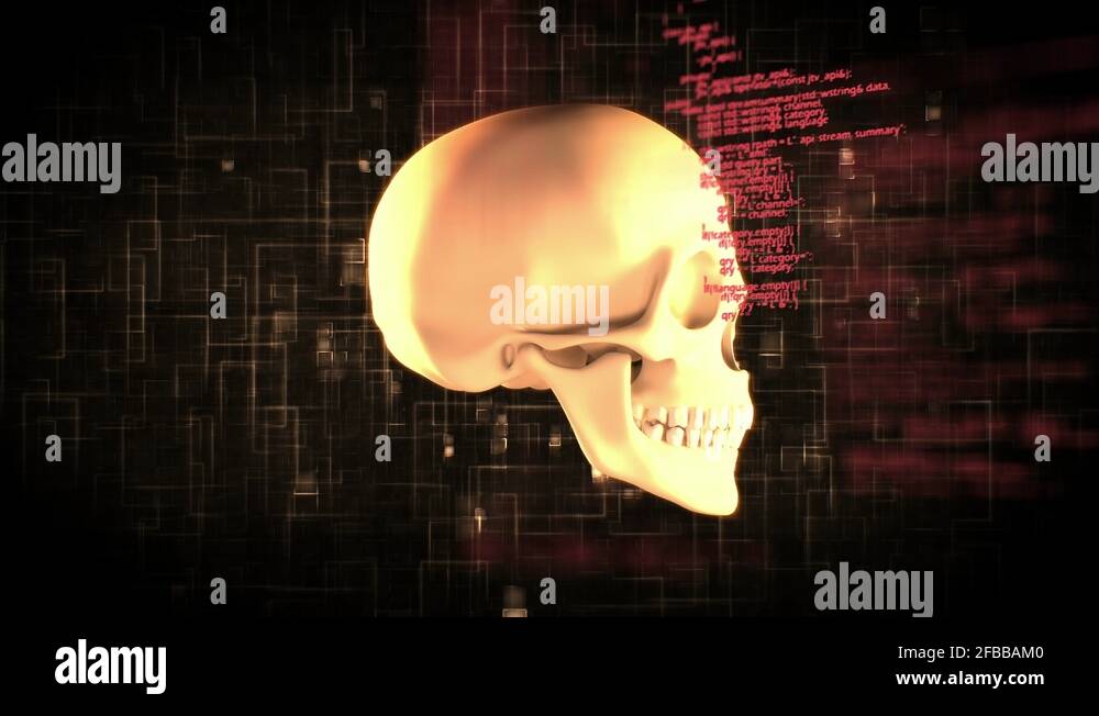 Python skeleton Stock Videos & Footage - HD and 4K Video Clips - Alamy