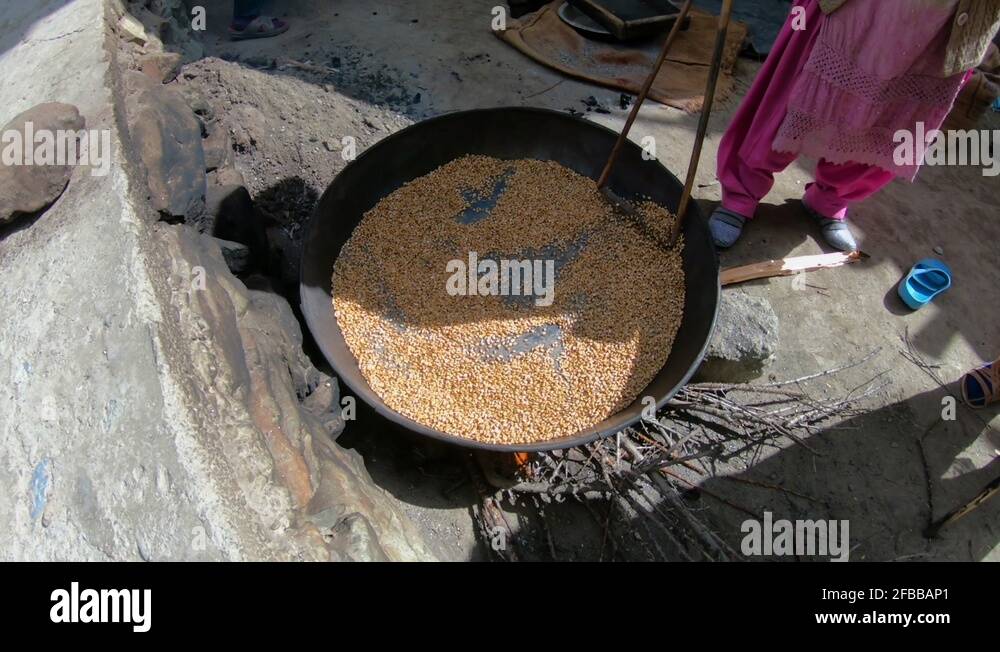 2 large seeds Stock Videos & Footage - HD and 4K Video Clips - Alamy