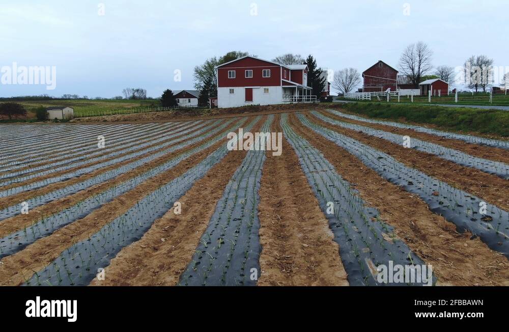 Spring backwards Stock Videos & Footage - HD and 4K Video Clips - Alamy