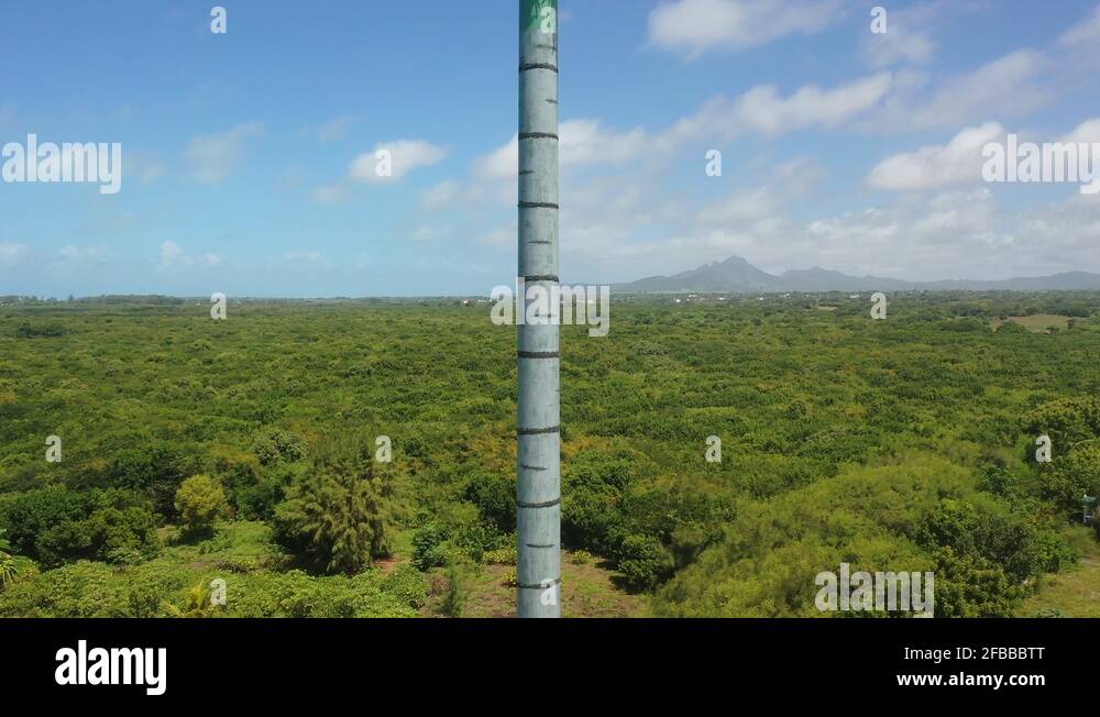 Mobile phone mast disguised as a tree Stock Videos & Footage - HD and ...