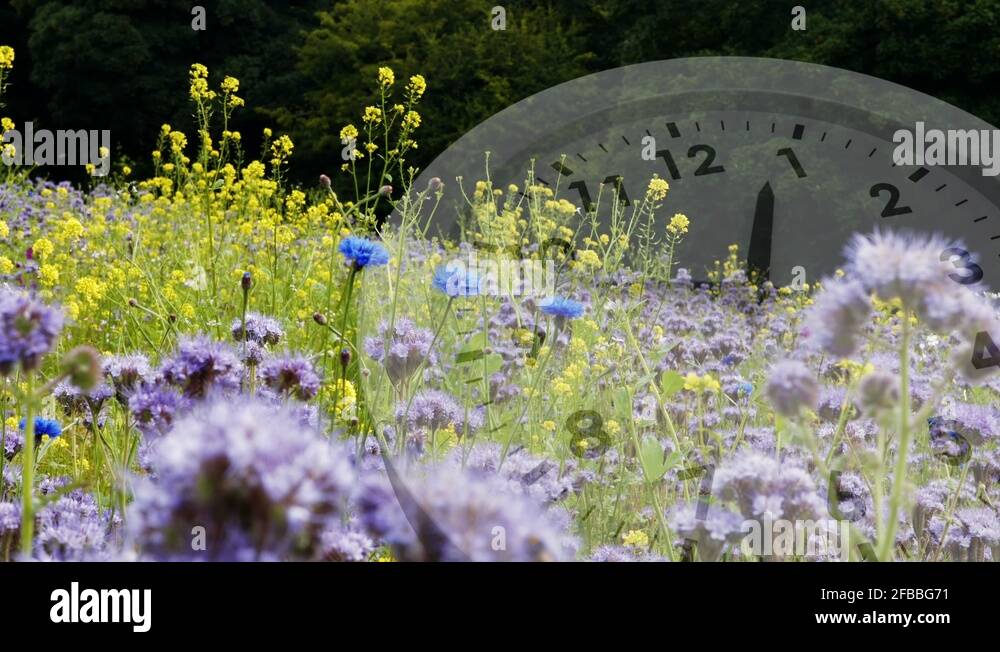 White outdoor clock Stock Videos & Footage - HD and 4K Video Clips - Alamy