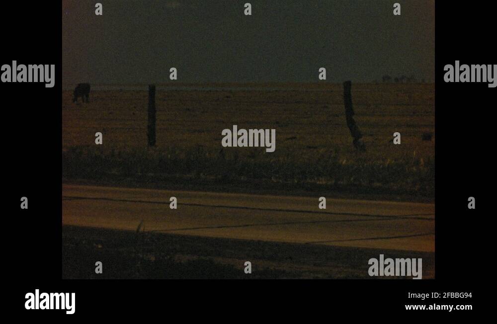 1940s cattle Stock Videos & Footage - HD and 4K Video Clips - Alamy