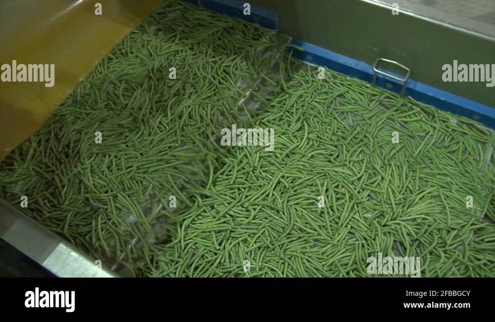 Frozen food production Stock Videos & Footage - HD and 4K Video Clips ...