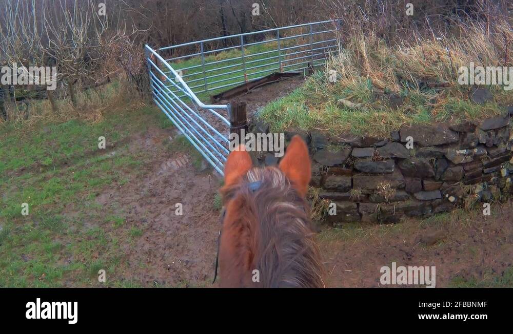 Pony gate Stock Videos & Footage - HD and 4K Video Clips - Alamy
