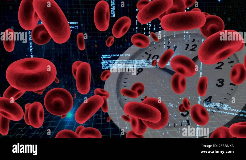 Human white and red blood cells Stock Videos & Footage - HD and 4K ...