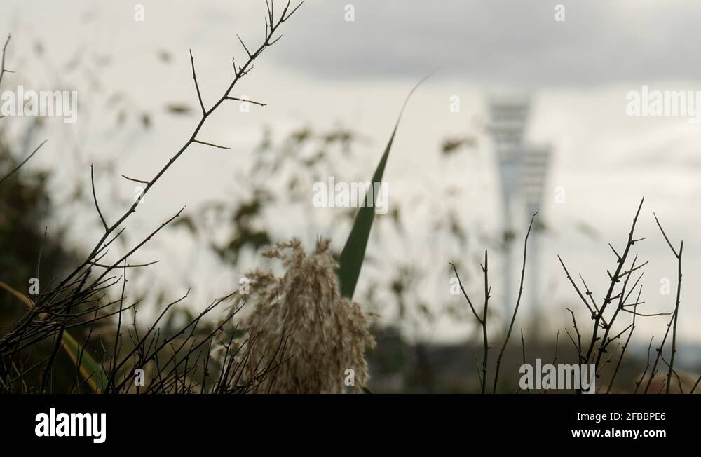Focus tower australia Stock Videos & Footage - HD and 4K Video Clips ...