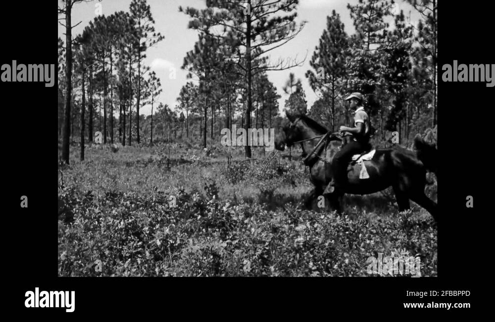 Fallen horse rider Stock Videos & Footage - HD and 4K Video Clips - Alamy