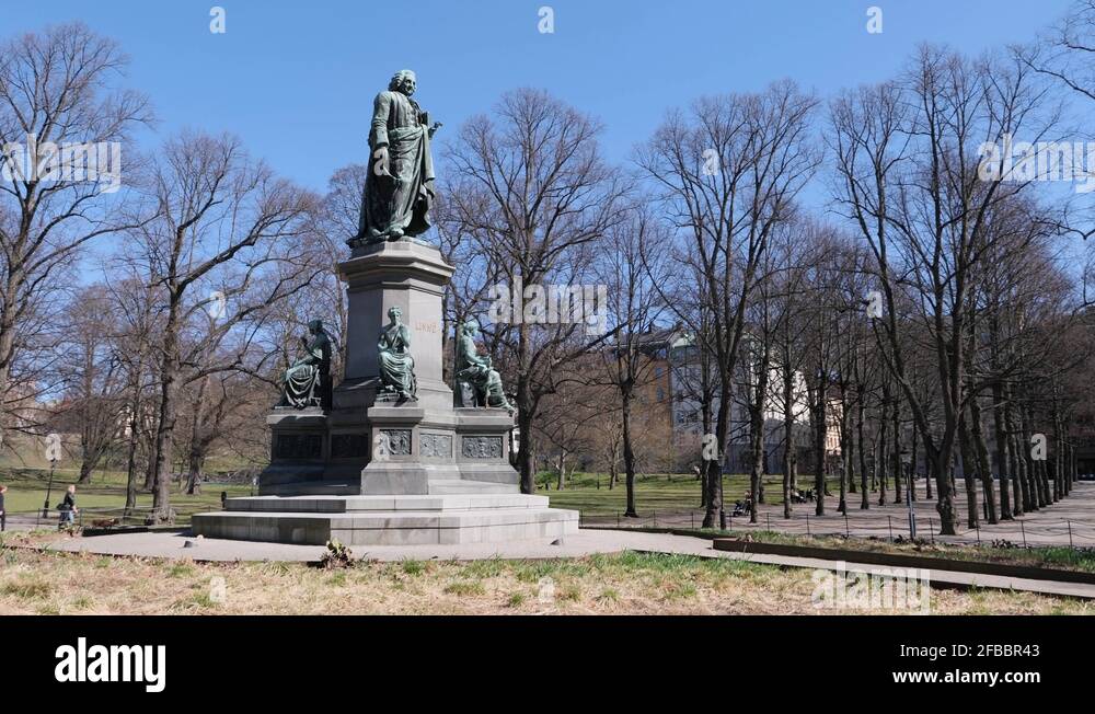 Statue of carl linnaeus Stock Videos & Footage - HD and 4K Video Clips ...